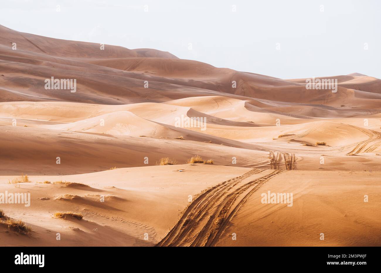 Sand texture in Morocco Sahara Merzouga Desert landscape oriented Stock ...