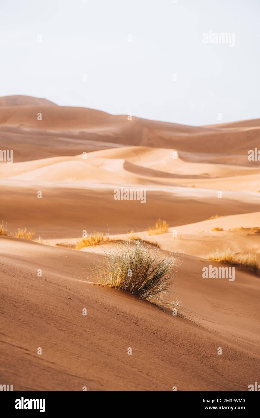 Sand texture in Morocco Sahara Merzouga Desert portrait oriented Stock ...