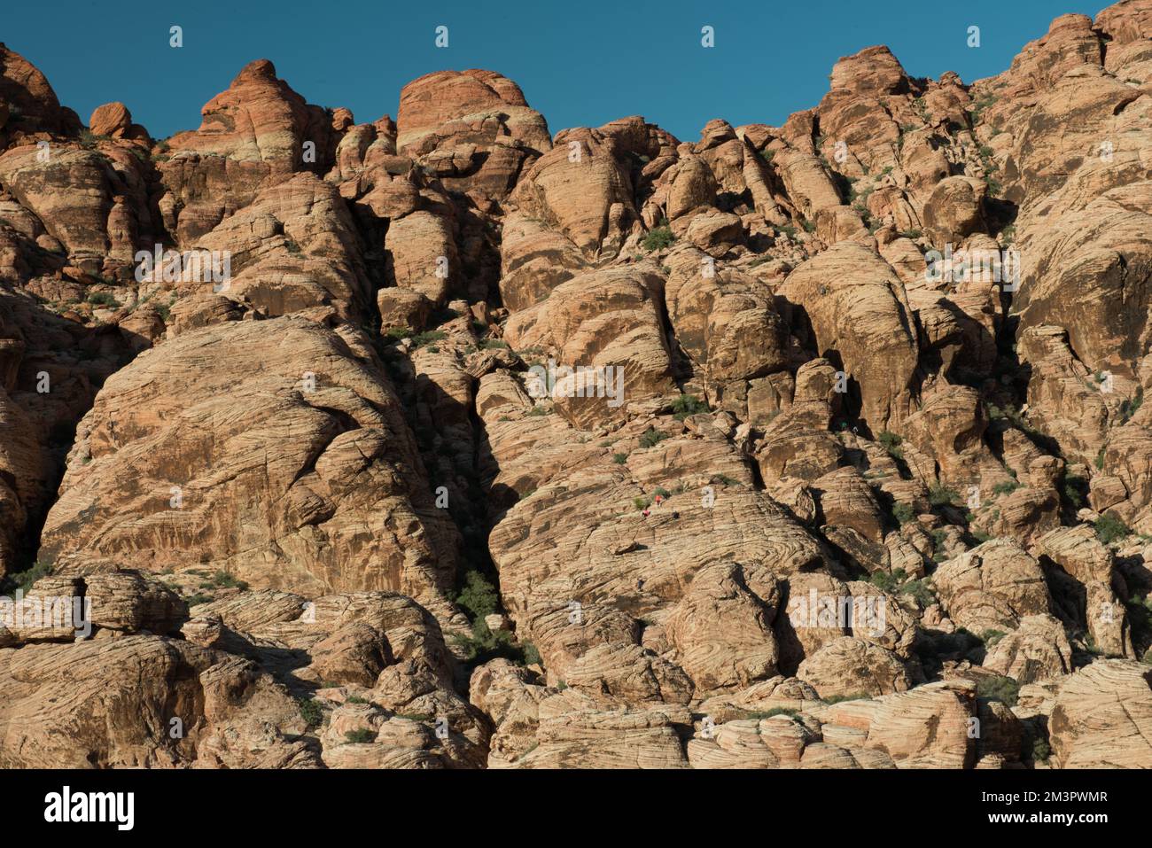 The cliff face of Red Rock Canyon near Las Vegas, Nevada. In the center ...