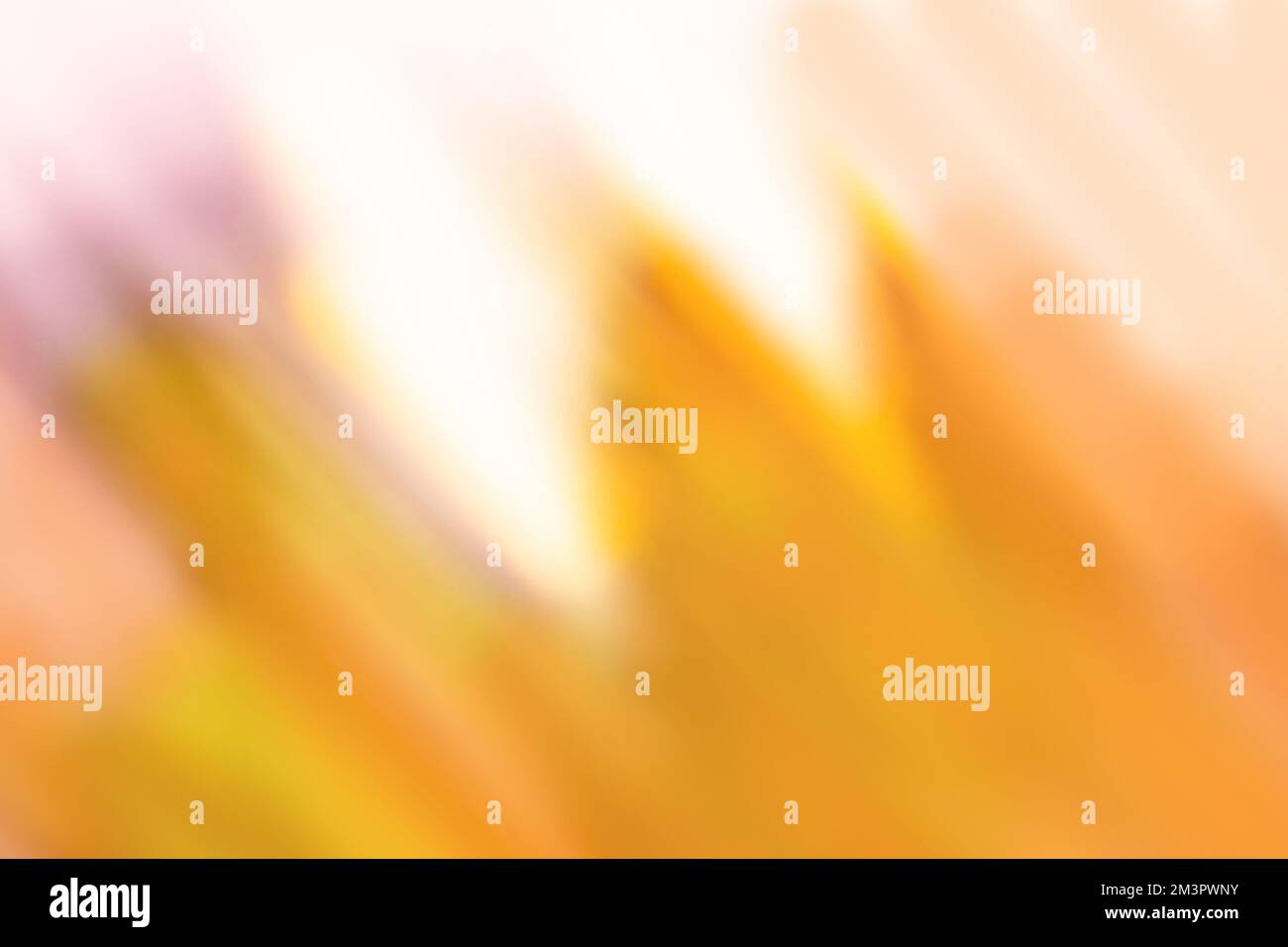 Golden sparkling mellifluous honeyed color fluid wave. Golden honey ...