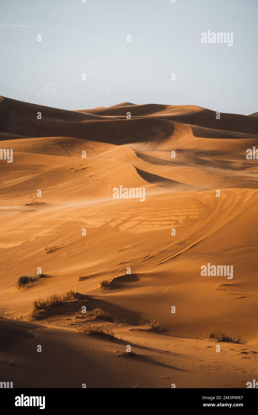 Sand texture in Morocco Sahara Merzouga Desert portrait oriented Stock ...