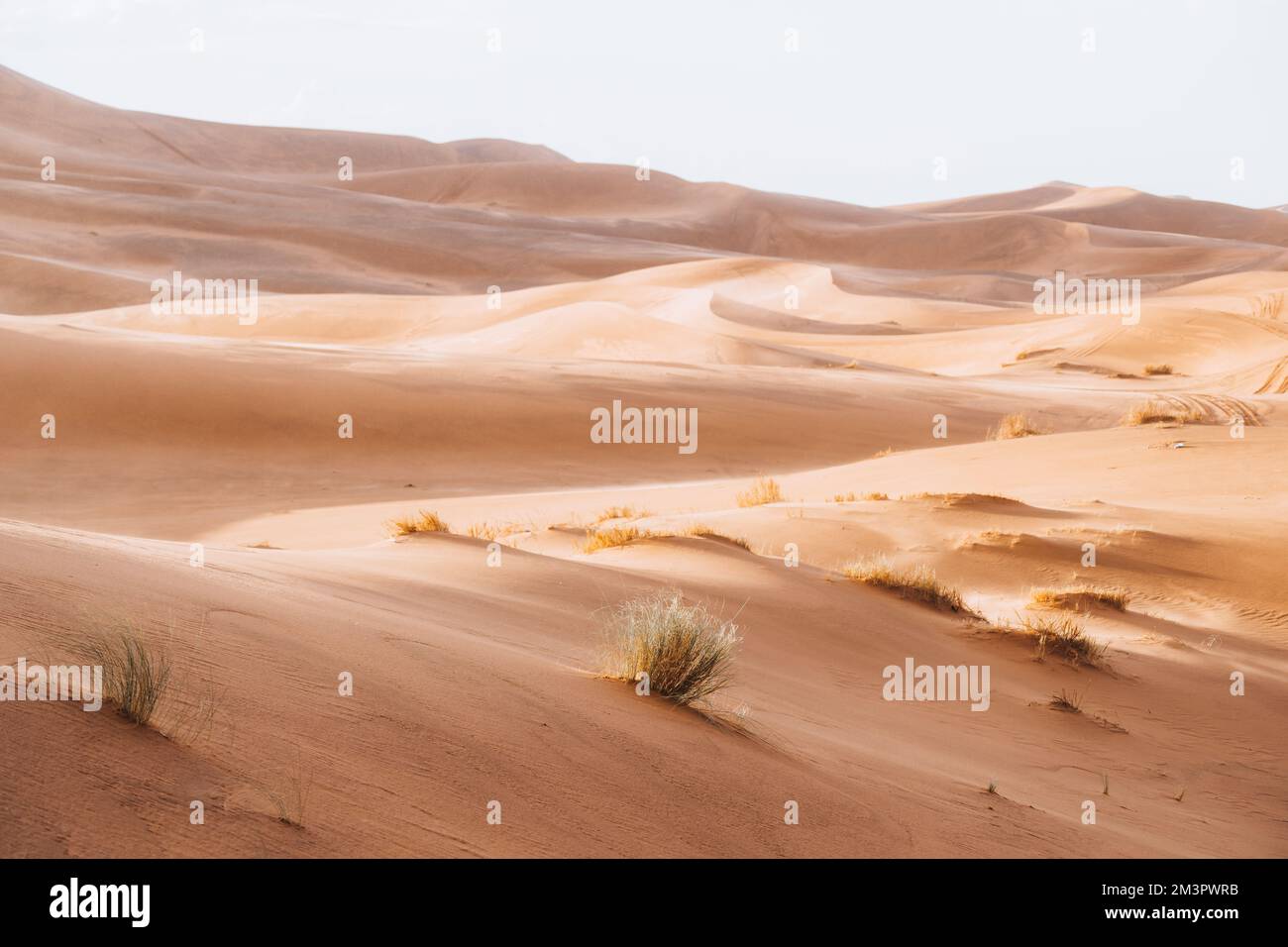 Sand texture in Morocco Sahara Merzouga Desert landscape oriented Stock ...