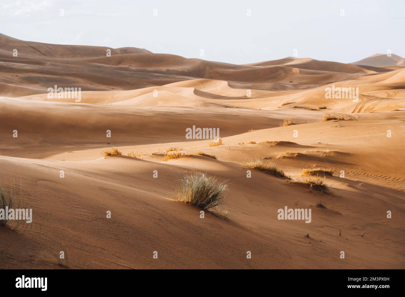 Sand texture in Morocco Sahara Merzouga Desert landscape oriented Stock ...