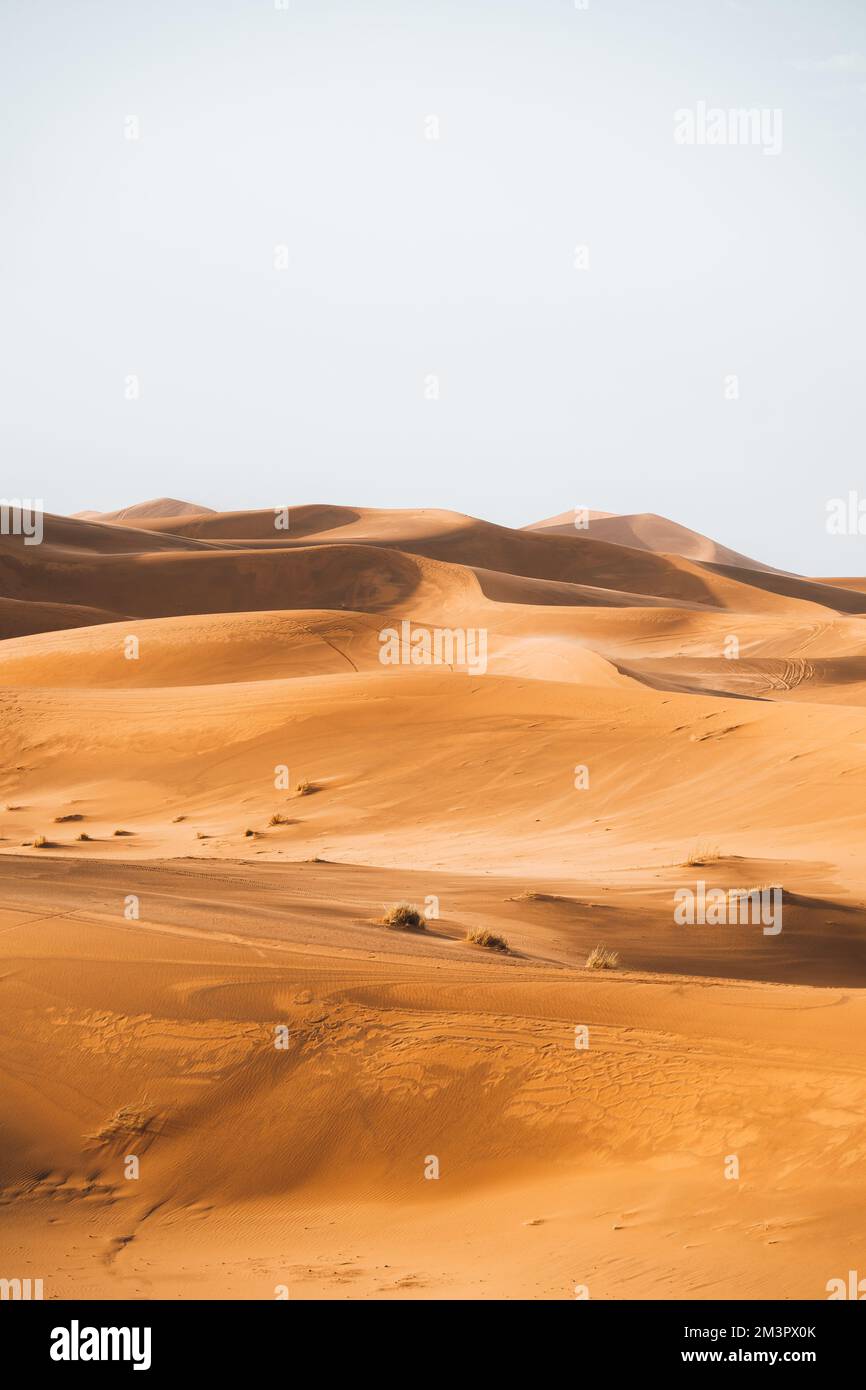 Sand texture in Morocco Sahara Merzouga Desert portrait oriented Stock ...