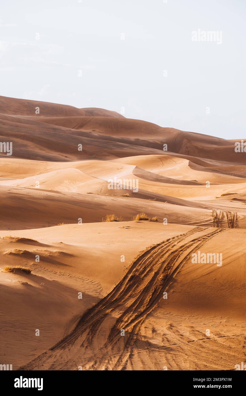 Sand texture in Morocco Sahara Merzouga Desert portrait oriented Stock ...