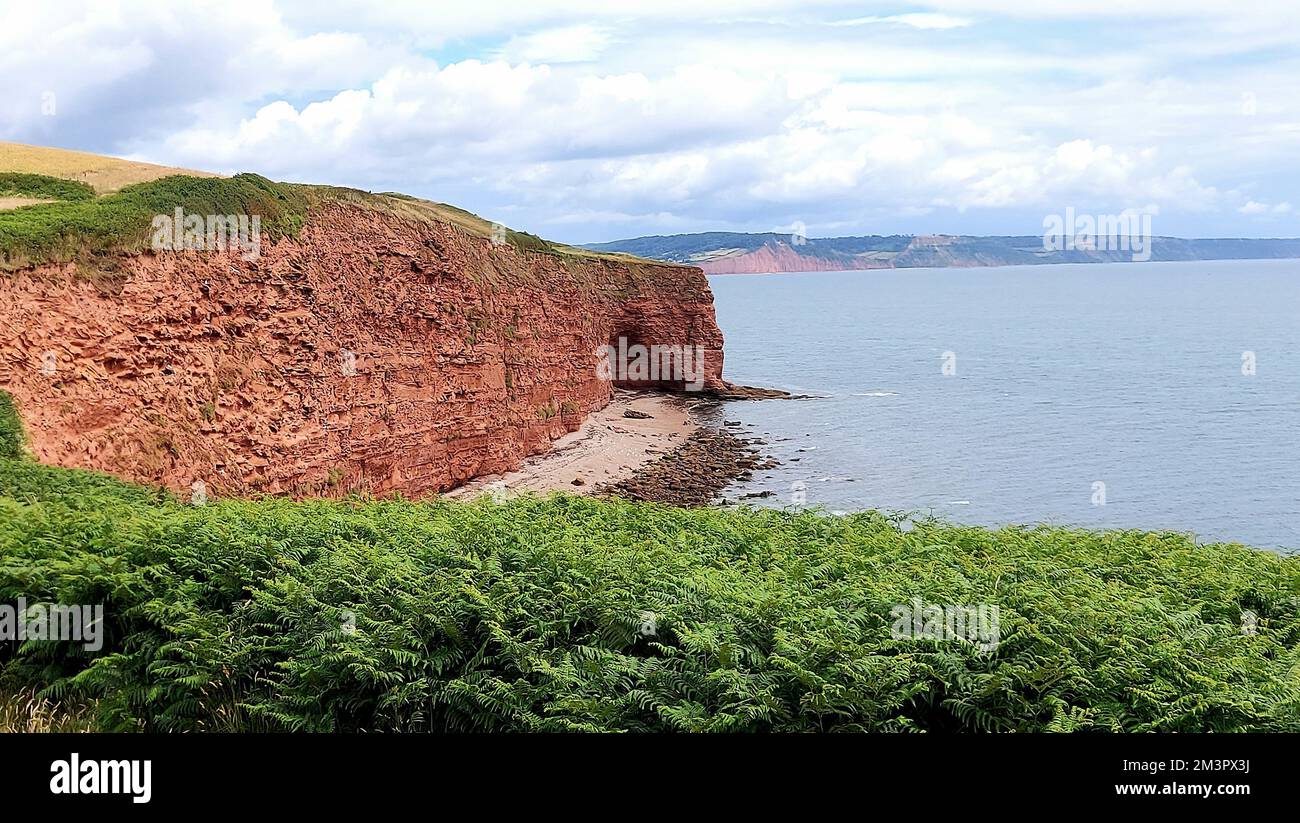 A scenic shot of grass fields on a cliff overlooking a coast Stock ...