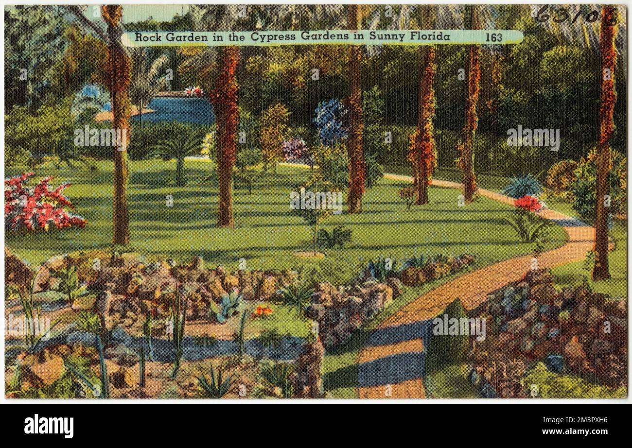 Rock garden in the cypress gardens in sunny Florida , Tichnor Brothers ...