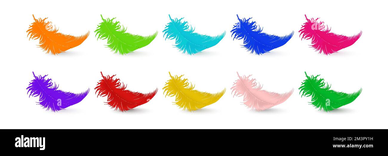 Vector 3d Realistic Multicolored Fluffy Feather Set Isolated on White ...