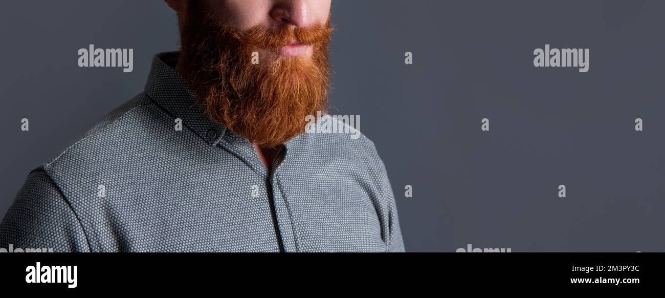 Guy crop view with long beard. Unshaven face with stylish beard and ...
