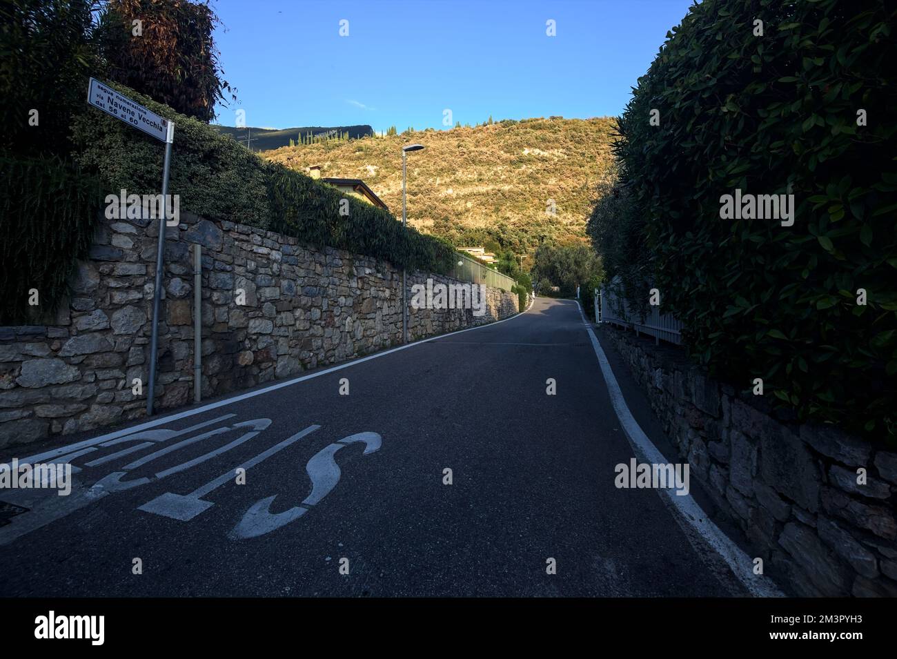Climbing side road bordered by olive tree plantations in summer Stock ...