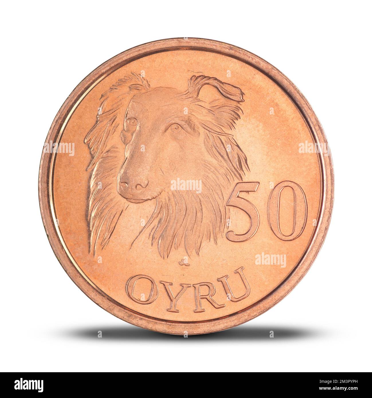 50 Oyru with a sheep and a dog on a white background Stock Photo - Alamy