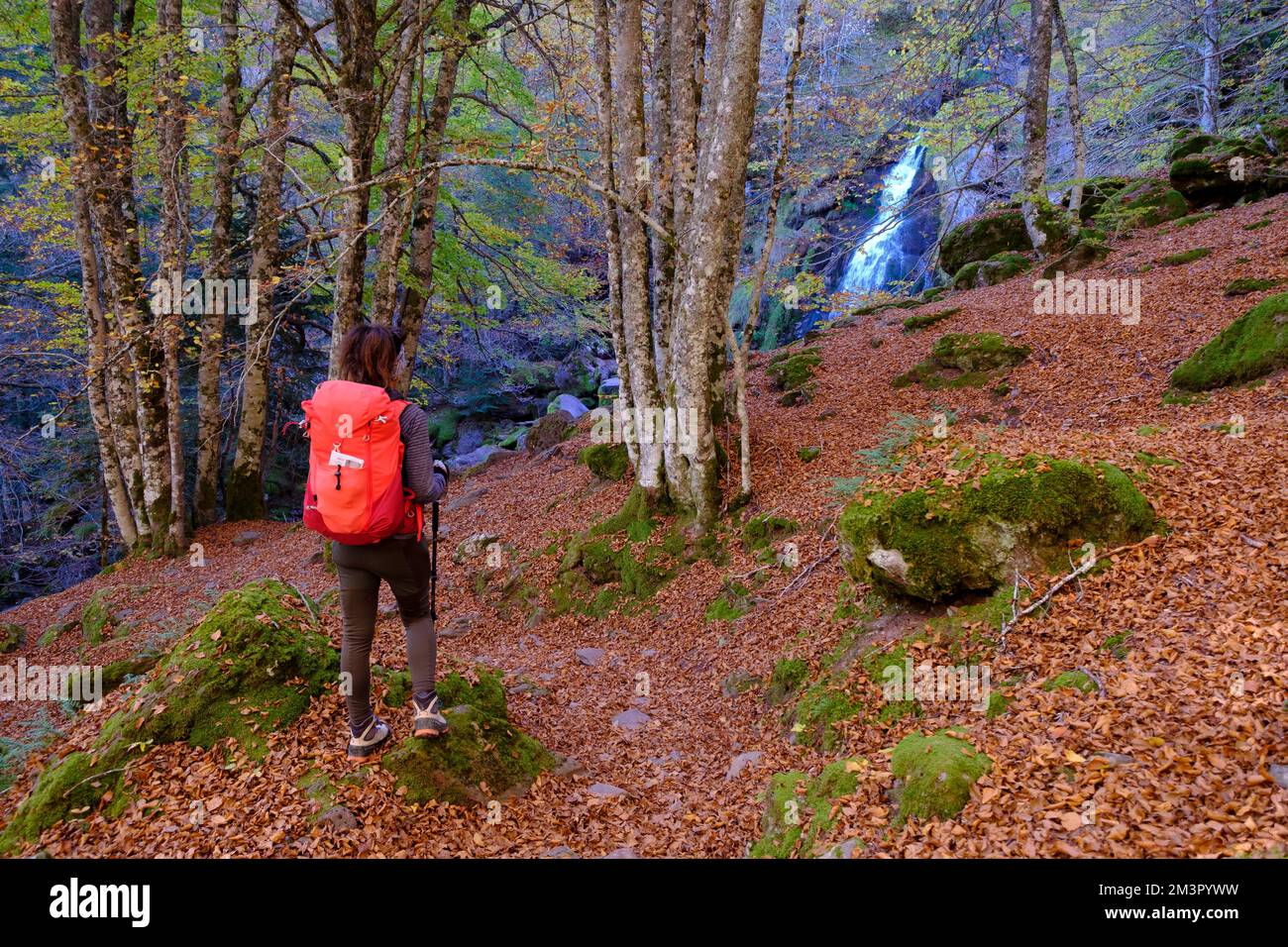 woman with orange backpack in the Espelunguère forest, pyrenees ...