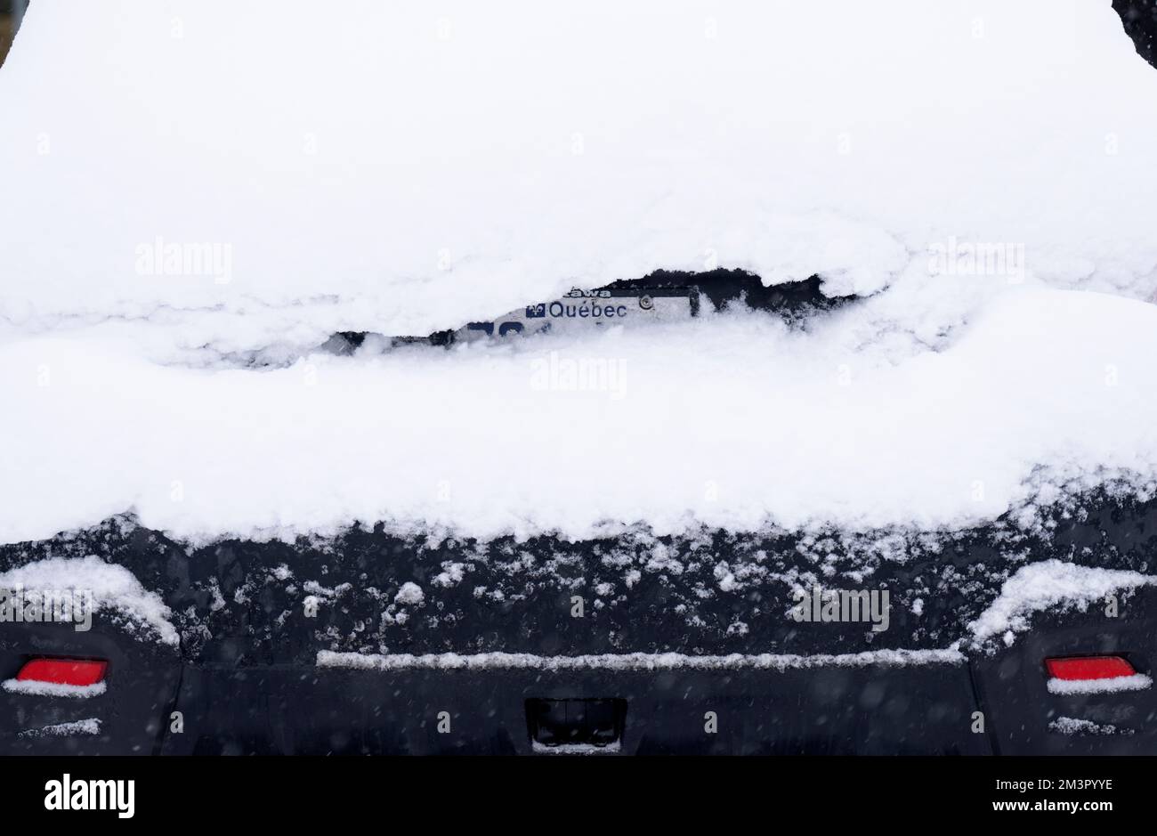 A licence plate is seen on the back of a parked car, Friday, December ...