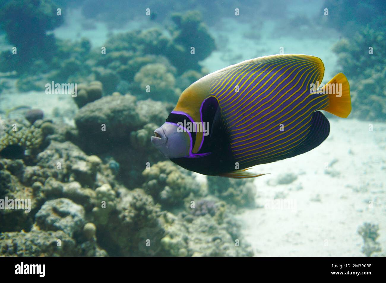 Ocean exotic hi-res stock photography and images - Alamy