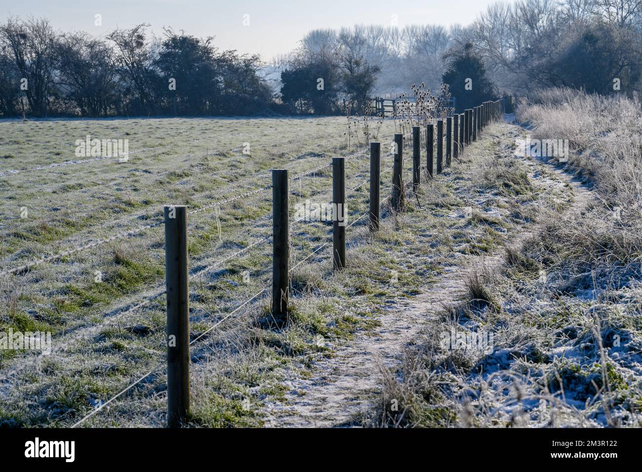 Frosty footpath with a barbed wire fence Stock Photo - Alamy