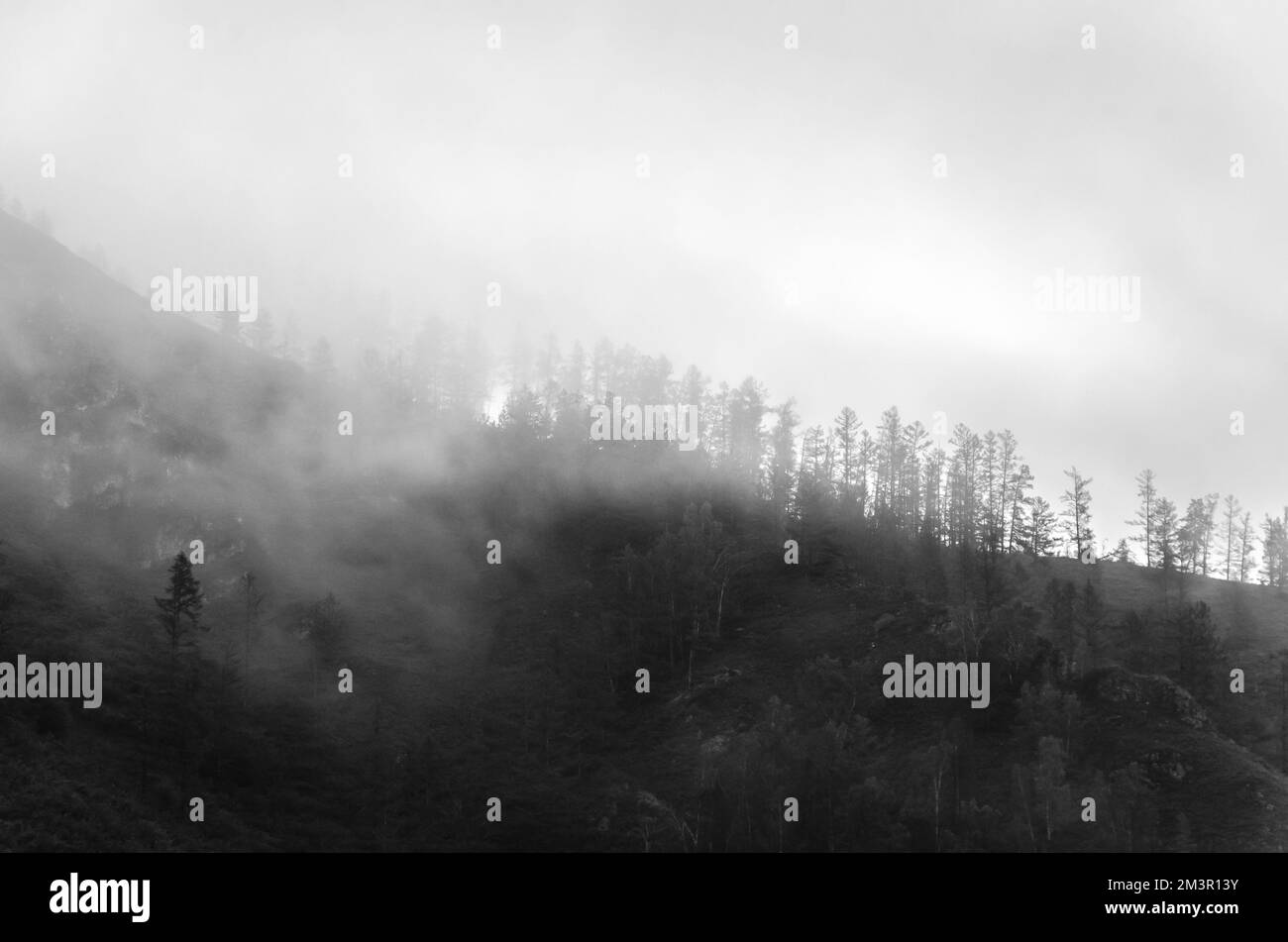 Black mountains in distant background hi-res stock photography and ...