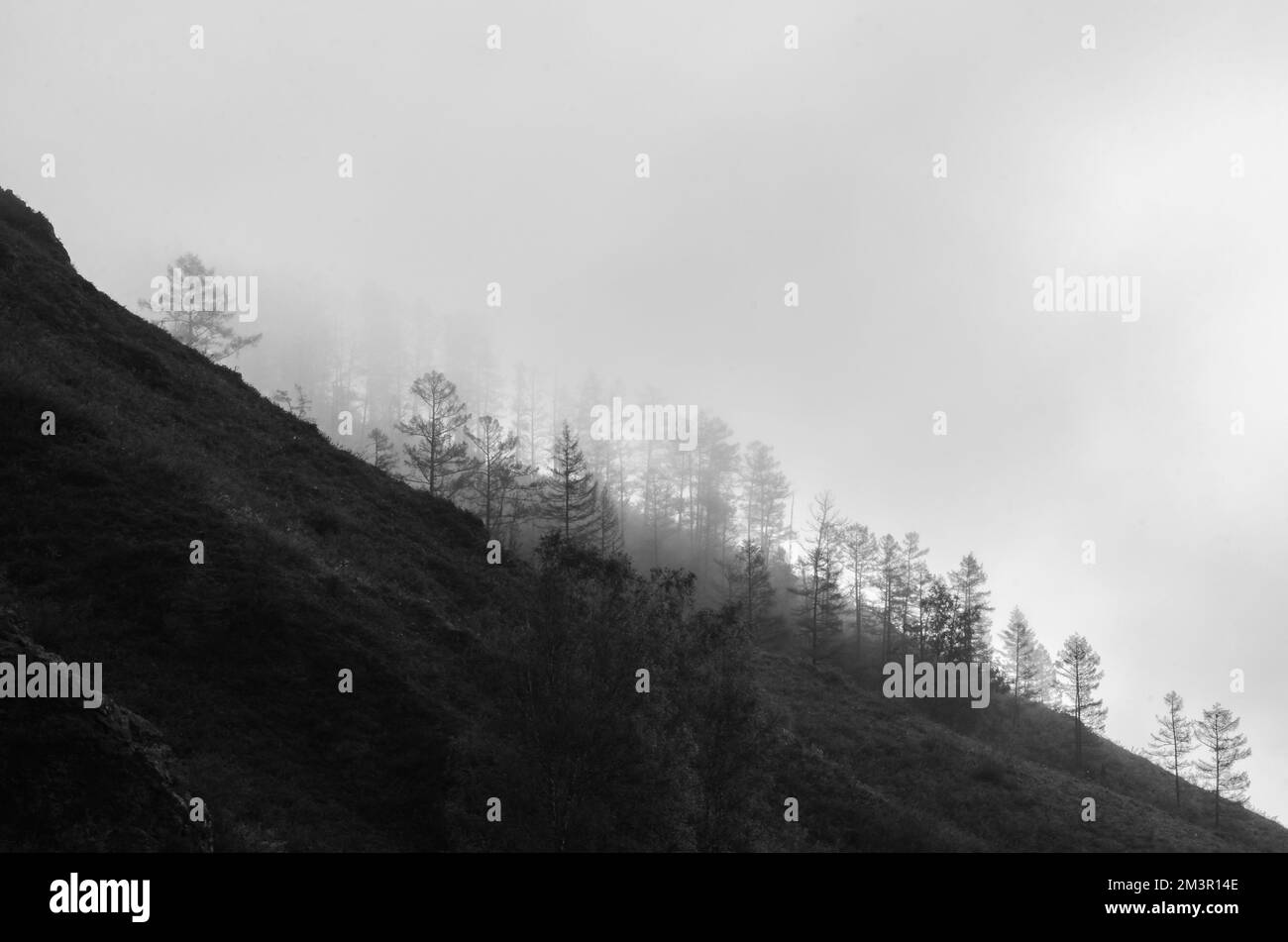 Horizontal distant Black and White Stock Photos & Images - Alamy