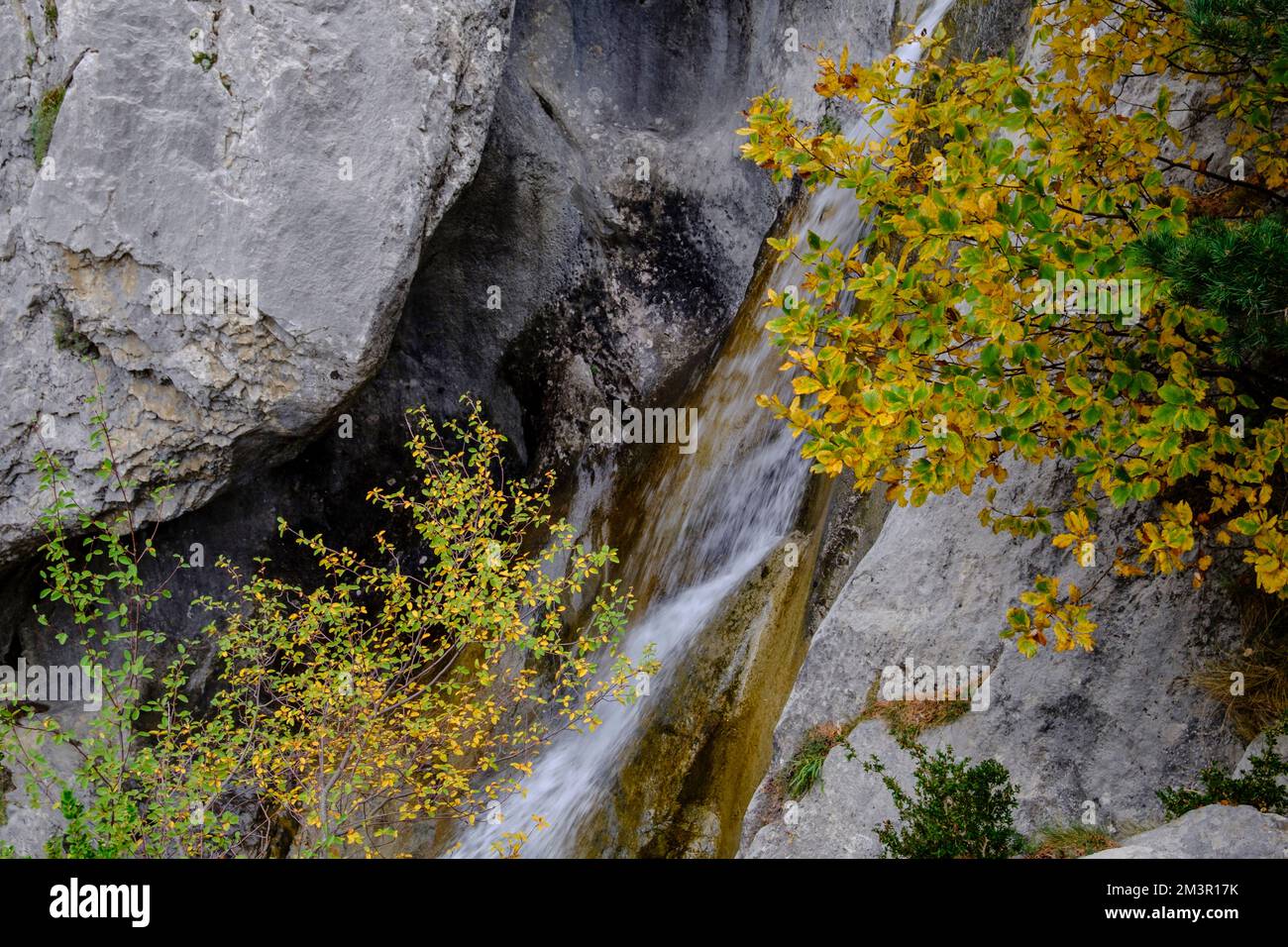 Hecho valley, Pyrenean mountain range, Spain Stock Photo - Alamy