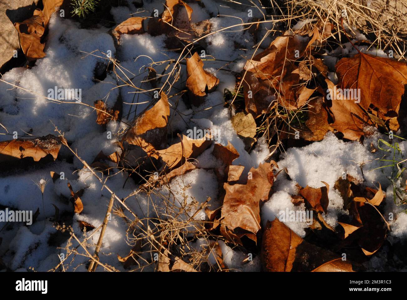 Kastrup/Copenhagen /Denmmark/16 December 2022/Snow fall in Kastrup ...