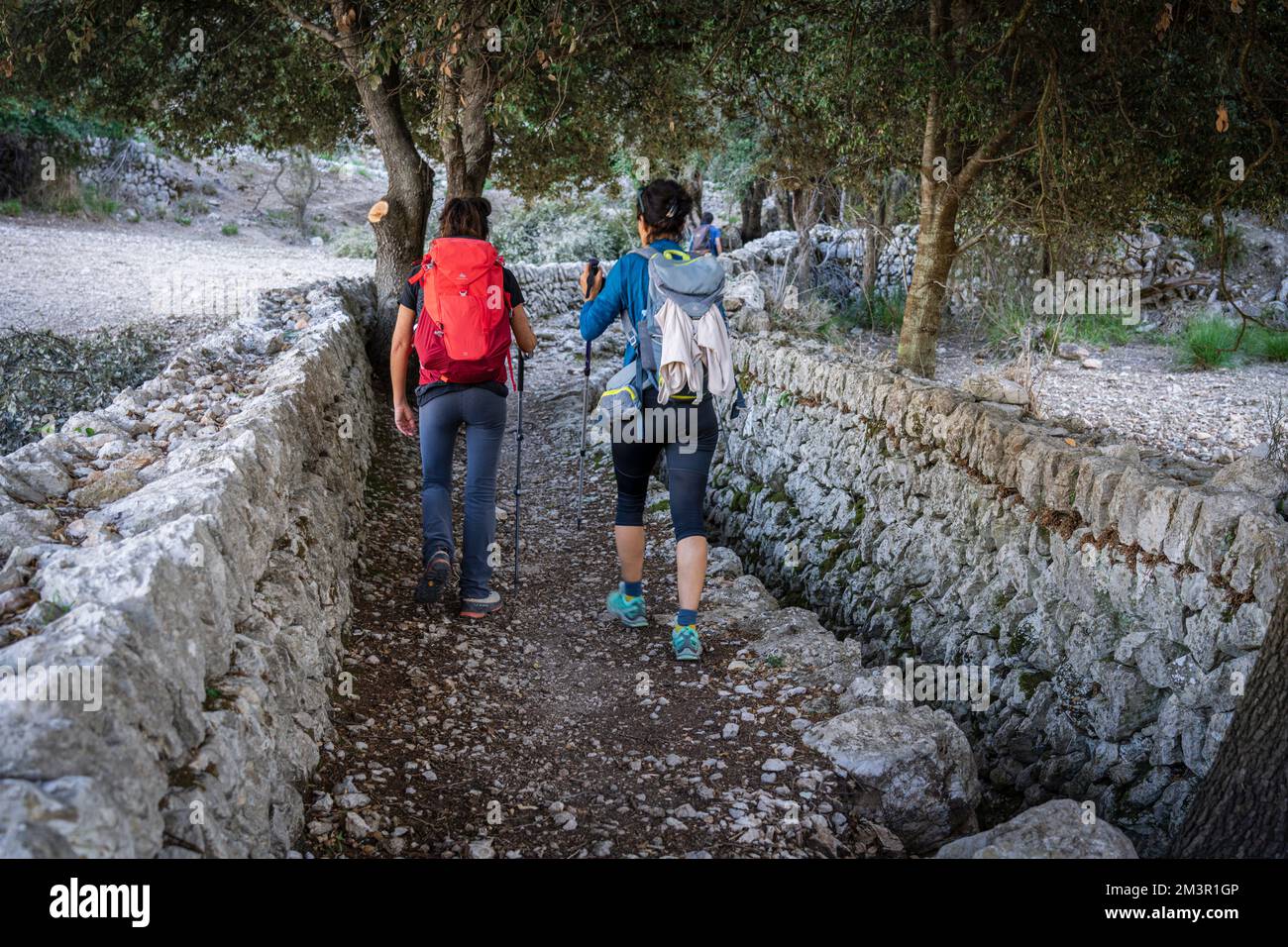 hikers walking between stone walls next to a traditional ditch, Orient ...