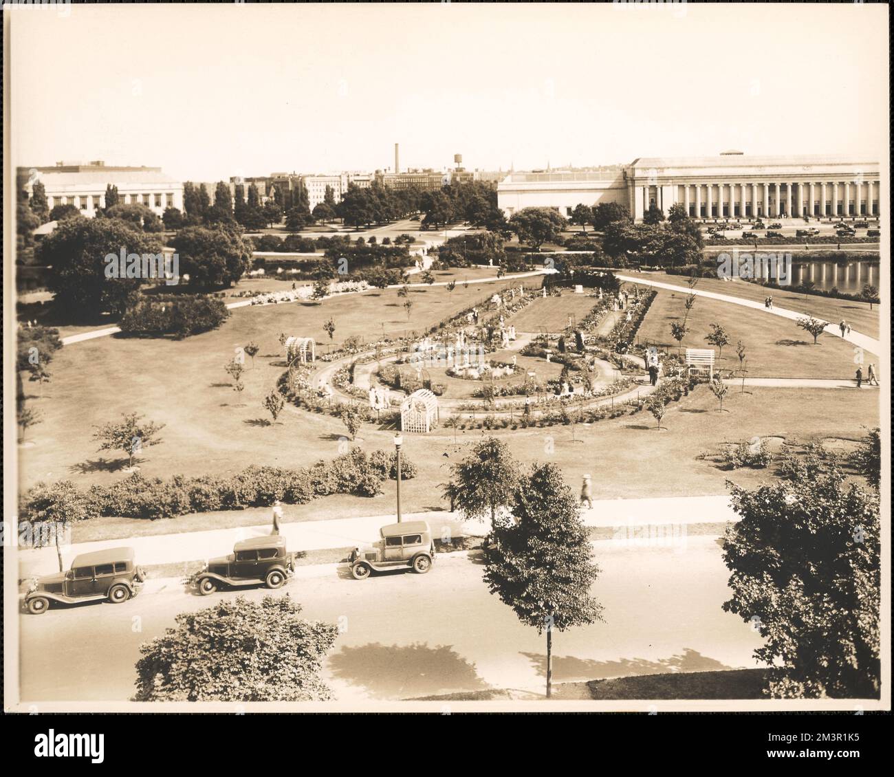 Rose garden and Museum of Fine Arts, Boston , Flower gardens, Galleries ...