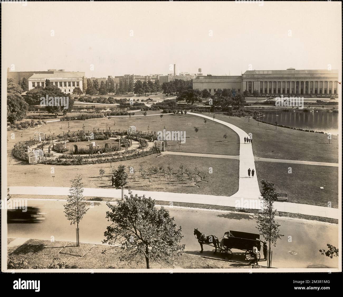 Rose garden and Museum of Fine Arts, Boston , Flower gardens, Galleries ...