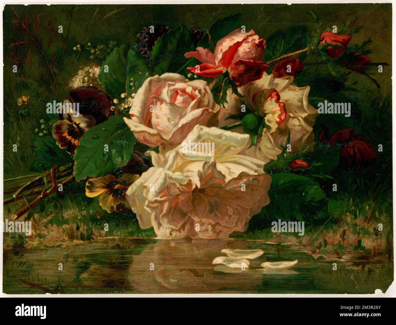 Louis prang roses hi-res stock photography and images - Alamy