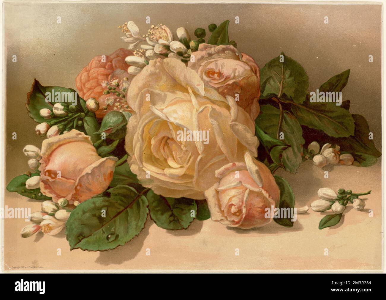 Louis prang roses hi-res stock photography and images - Alamy