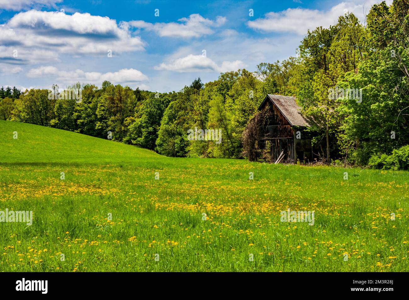 An old barn in a farm field in Western Mass Stock Photo - Alamy