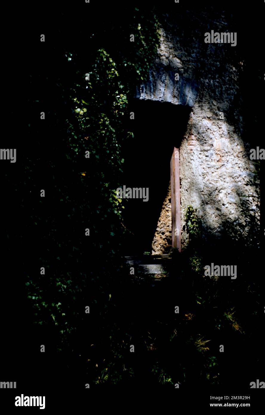 Ross Castle door , Castles & palaces. Edmund L. Mitchell Collection ...