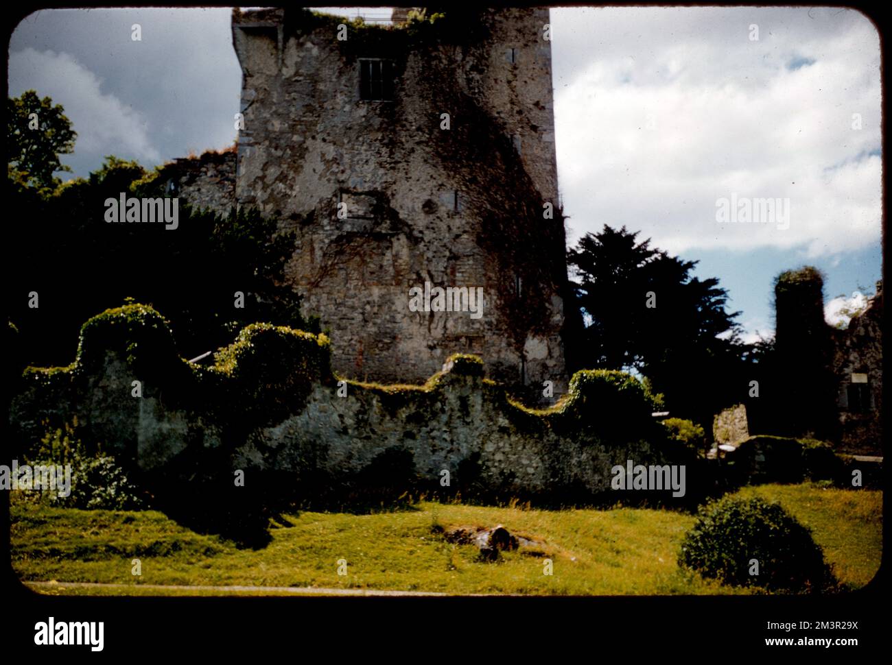 Ross Castle, Killarney , Castles & palaces. Edmund L. Mitchell ...