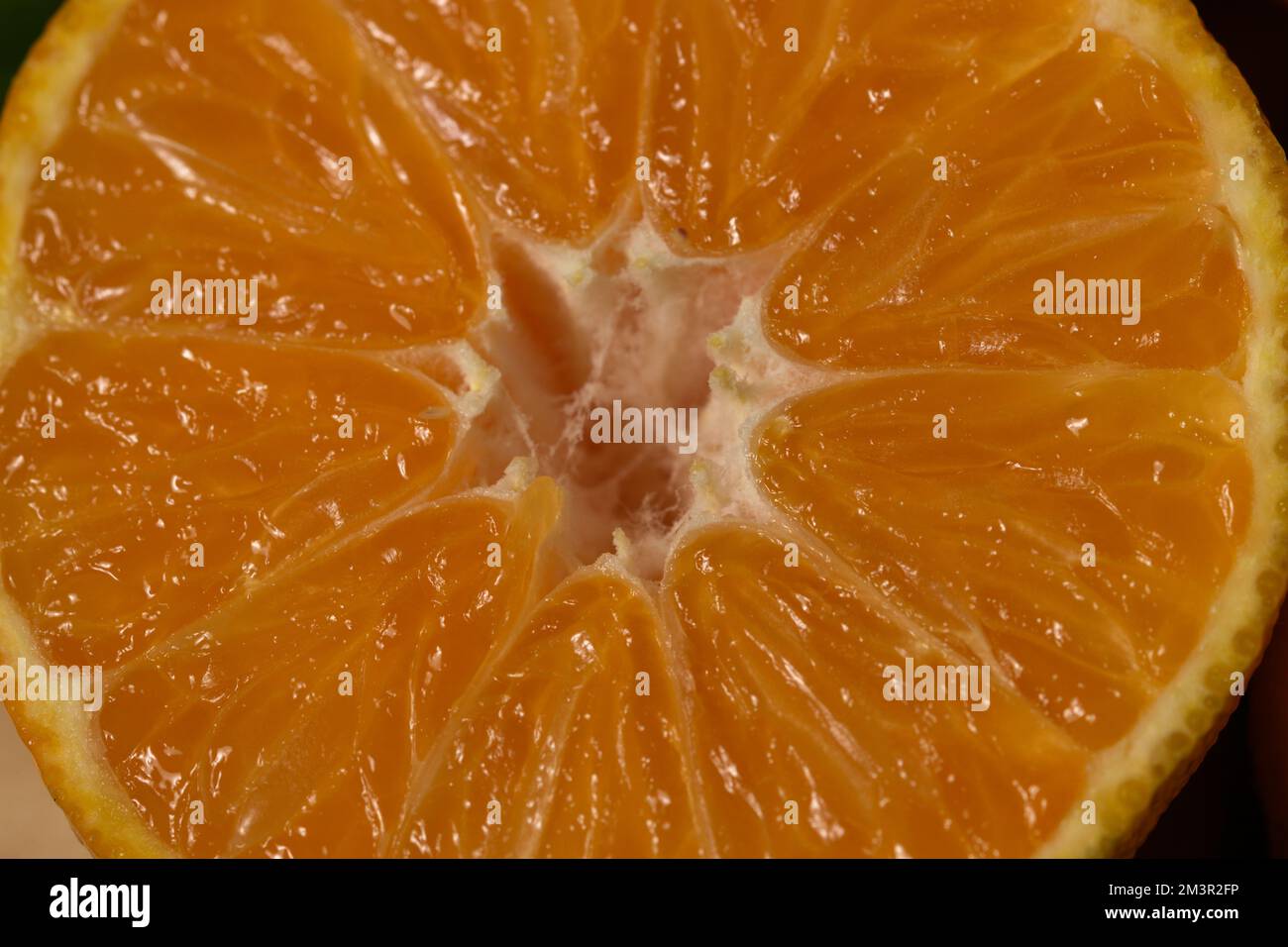 Cross section of a piece of mandarin so that its interior segments can ...