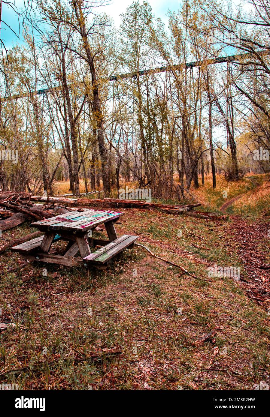 Abandoned picnic table Stock Photo - Alamy
