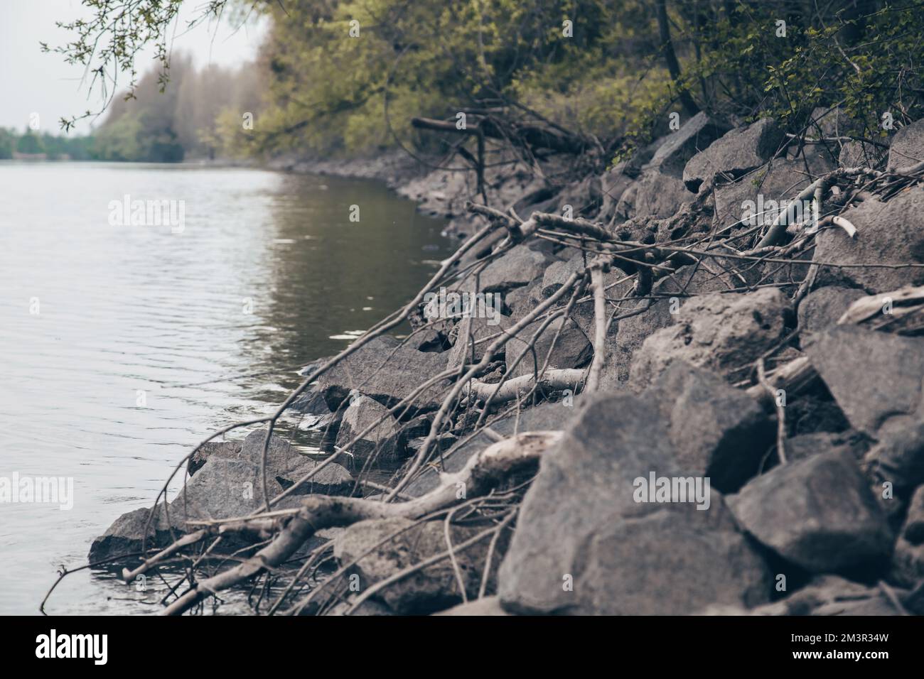 A closeup shot of a rocky shore of the river Stock Photo - Alamy