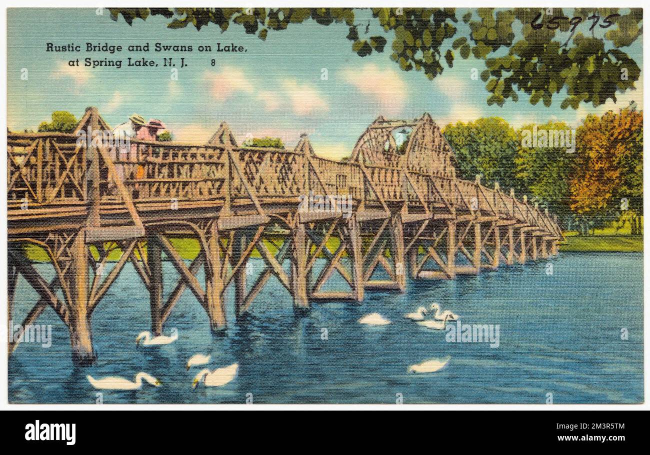 Rustic bridge and swans on lake at Spring Lake, N. J. , Lakes & ponds ...