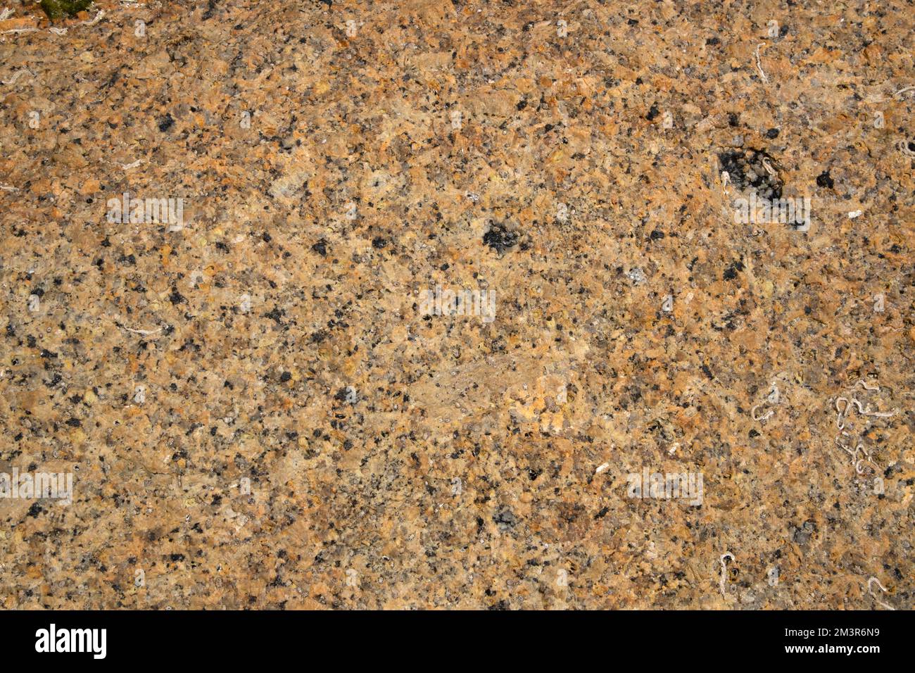 Rock Background shot Stock Photo - Alamy