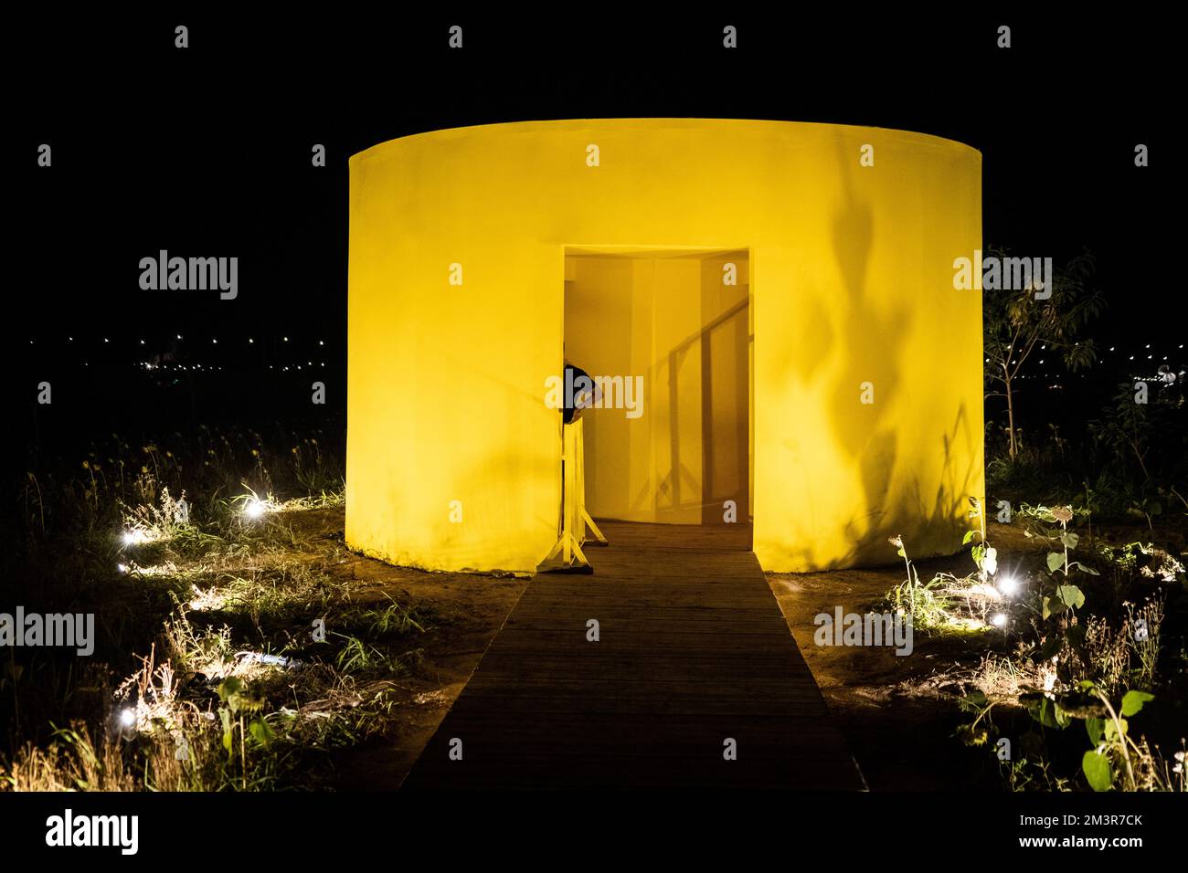 Pattaya, Thailand. December 17, 2022. FLOWER OBSESSION (SUNFLOWER), an ...