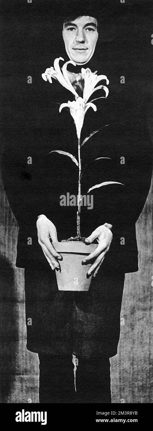 Ian McKellen (born 1939), British actor, appearing in the role of Alvin ...