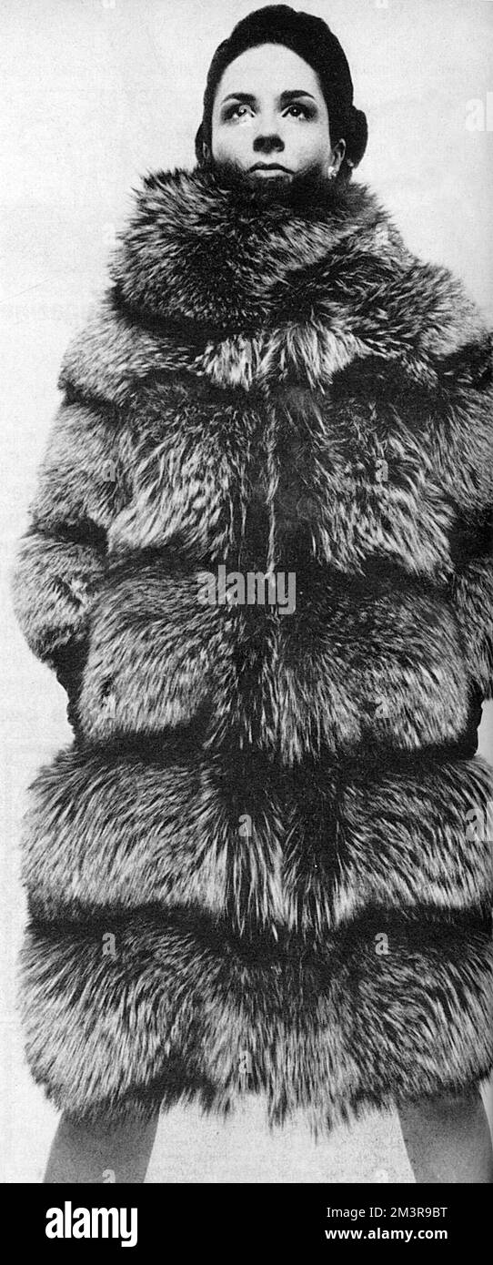 The American London editor of Vogue, Pamela Colin, wearing a silver fox ...