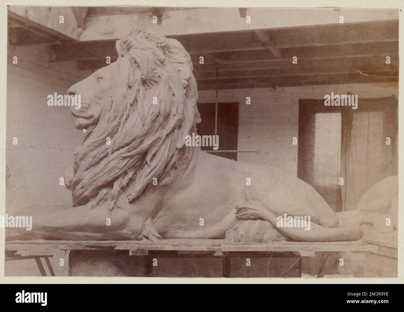 Saint-Gaudens lion in the studio, construction of the McKim Building ...