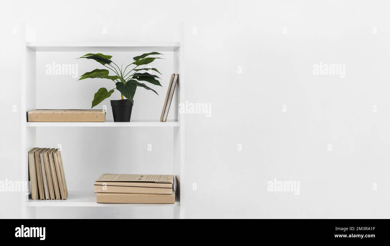 Bookshelf interior design carpet and floor hi-res stock photography and ...