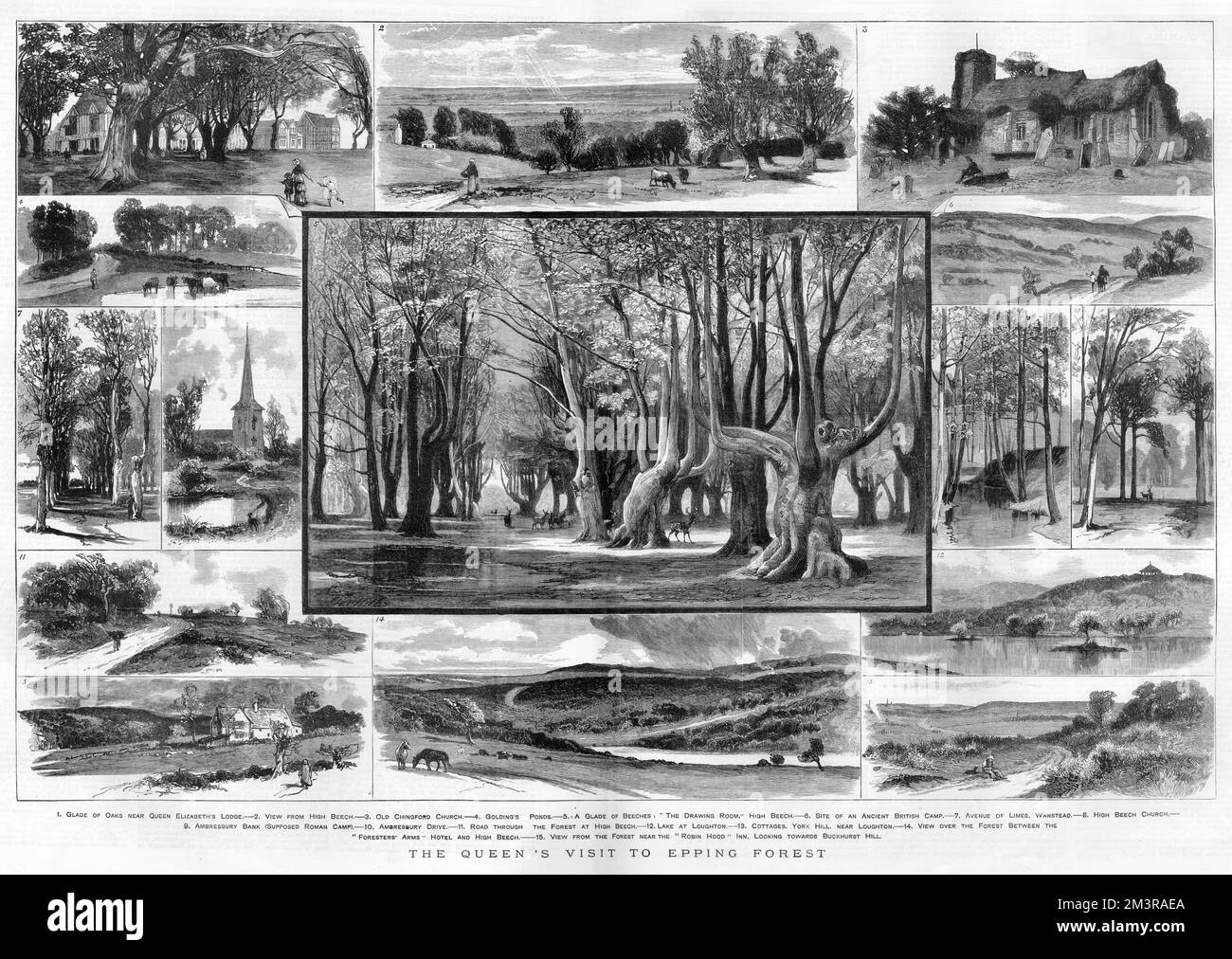 Chingford ponds Black and White Stock Photos & Images - Alamy
