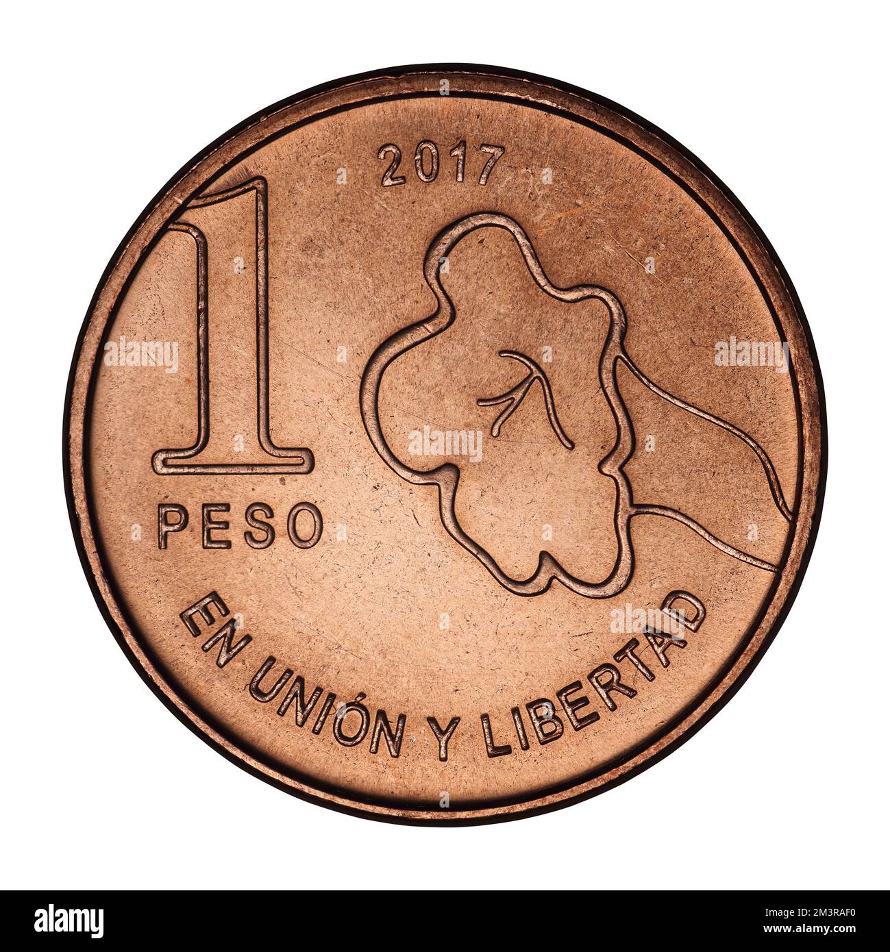 one peso from 2017 on a white background Stock Photo - Alamy