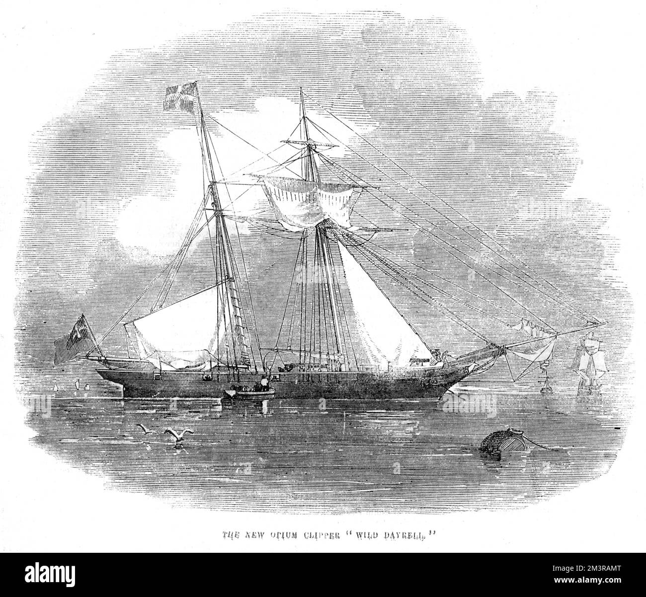 The opium clipper Wild Dayrell Stock Photo - Alamy
