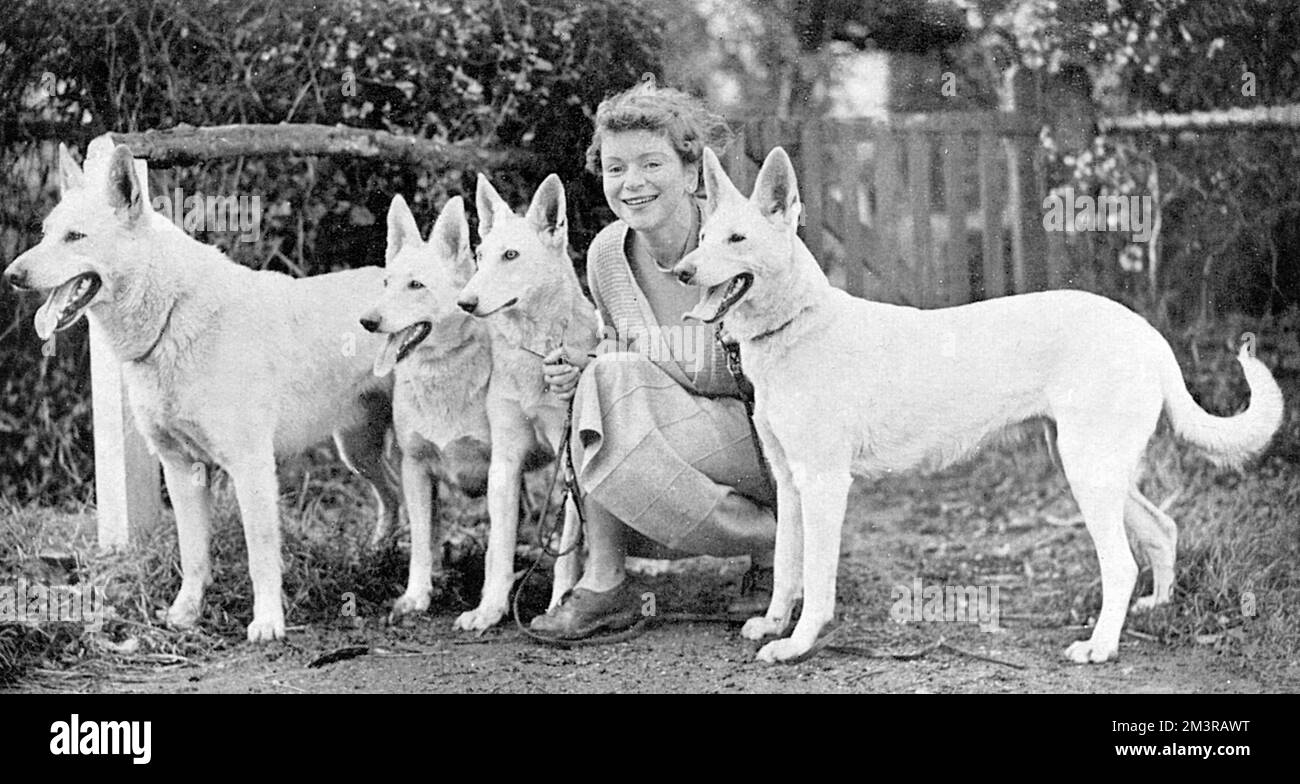 Phil dog Black and White Stock Photos & Images - Alamy