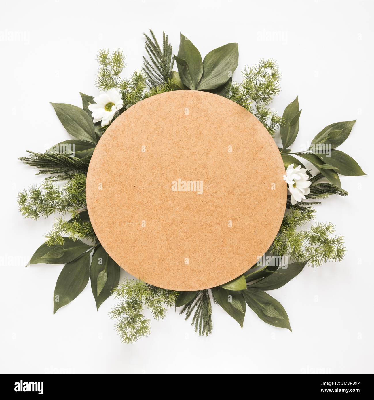 Round paper green plant branches, Resolution and high quality beautiful ...