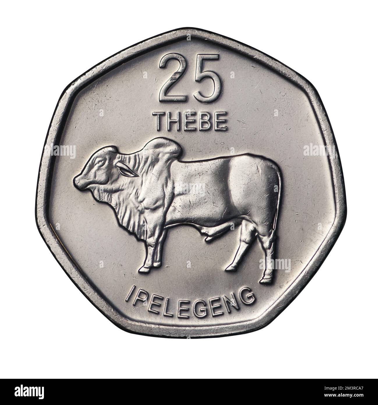 botswana 25 thebe from 2013 on a white background Stock Photo - Alamy
