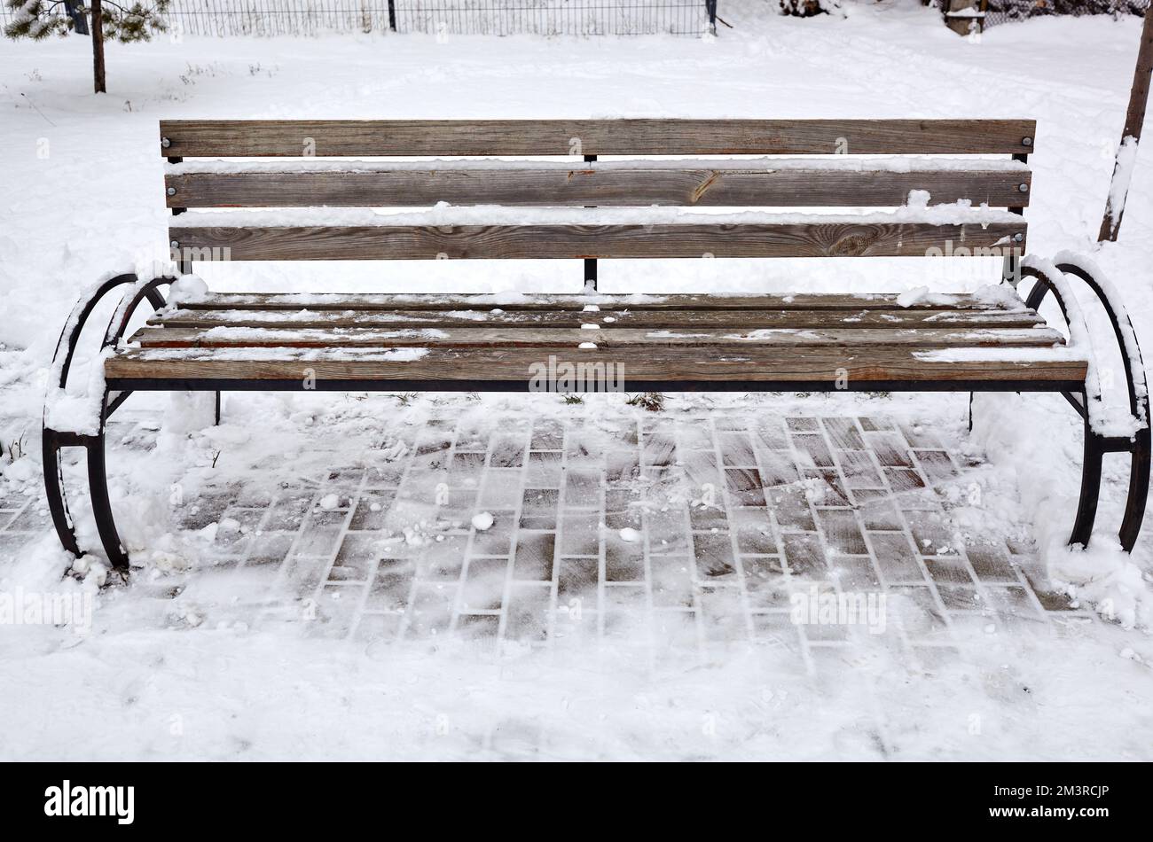 Wooden bench in the city park at winter. Empty bench covered with snow ...