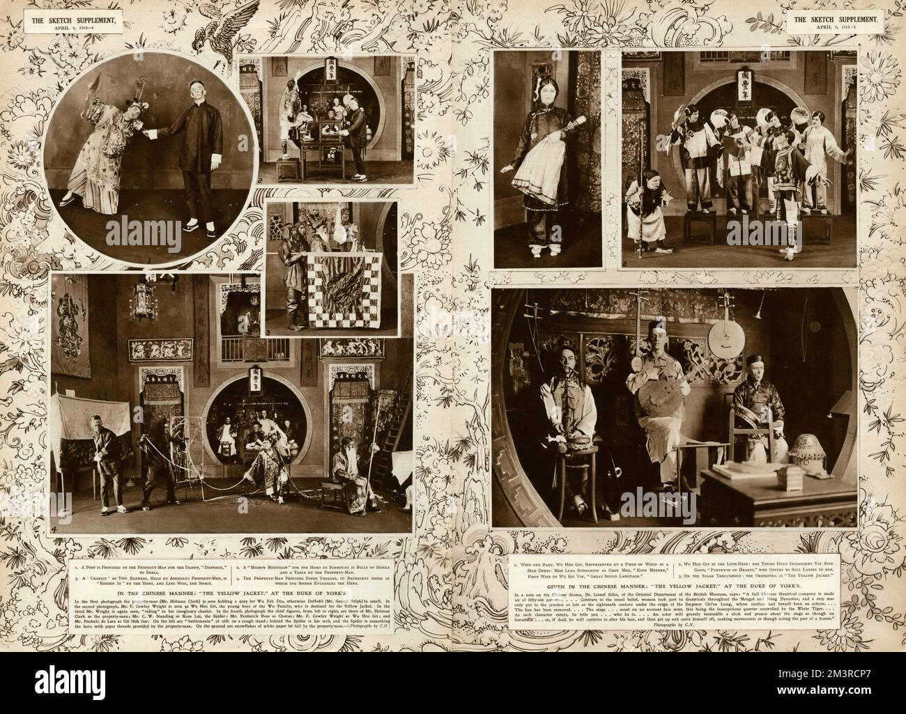 The Yellow Jacket Stock Photo - Alamy