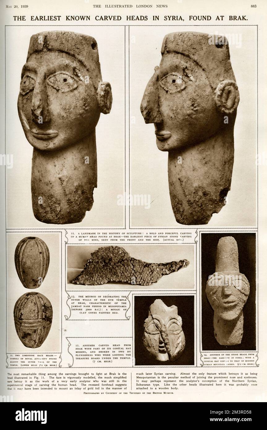 Tell brak hi-res stock photography and images - Alamy